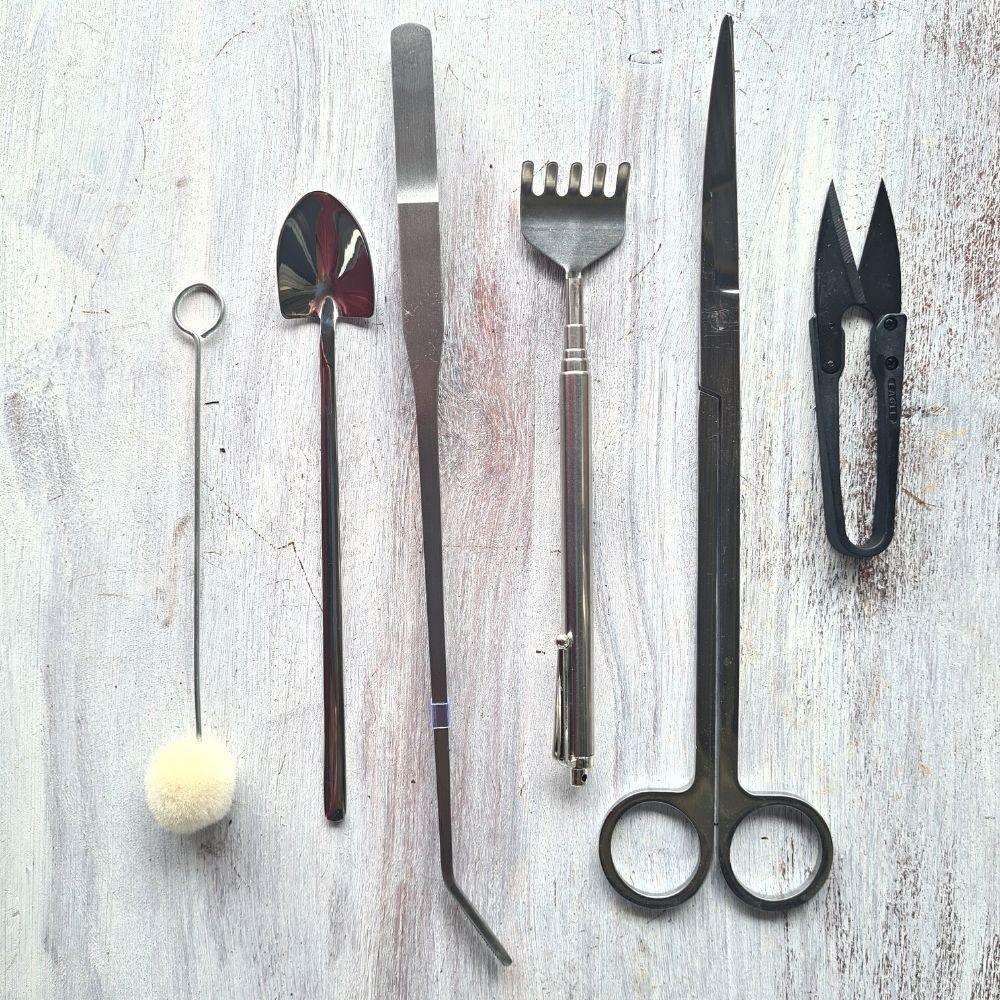 Terrarium Tools & Kits Online | Plant Terrarium Tools for Sale – Flower ...