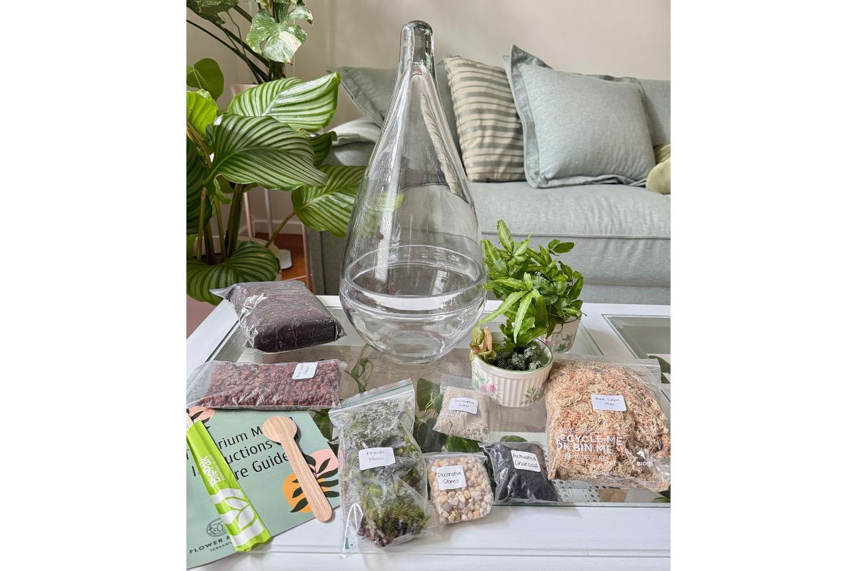 Fern Haven DIY Terrarium Kit - Complete Indoor Garden Set – Flower and ...