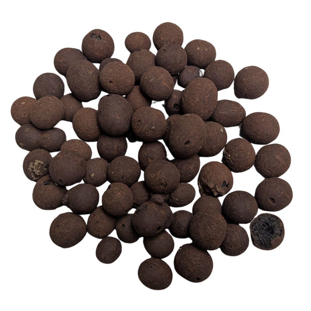 LECA Base Layer Clay Pebbles 8-14mm – Flower and Twig Nursery
