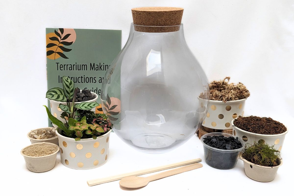 Woodland Sanctuary DIY Terrarium Kit