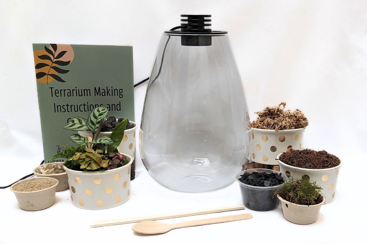Bioscape 175 Nano DIY Terrarium Kit – Flower and Twig Nursery