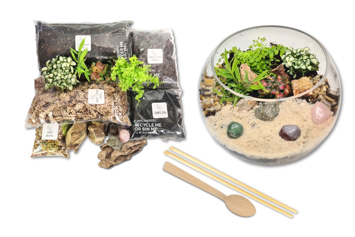 Crystal Garden DIY Terrarium Kit