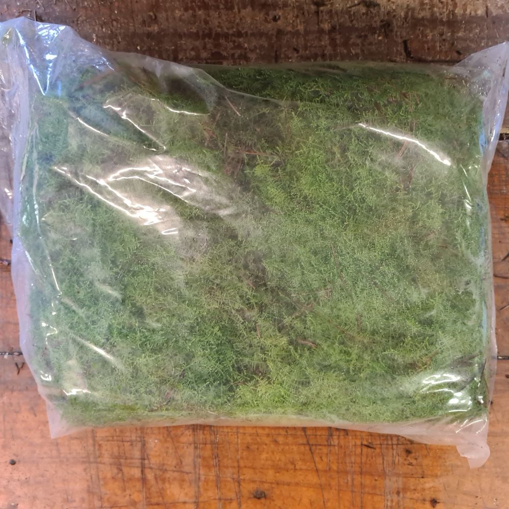 Mega Live Moss Bag – Flower and Twig Nursery