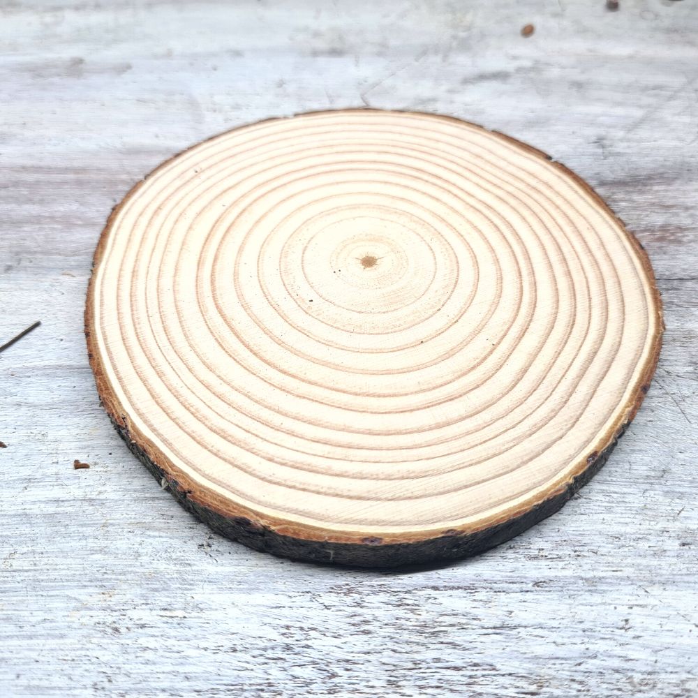 Pine Wood Slice - 12-14cm – Flower and Twig Nursery
