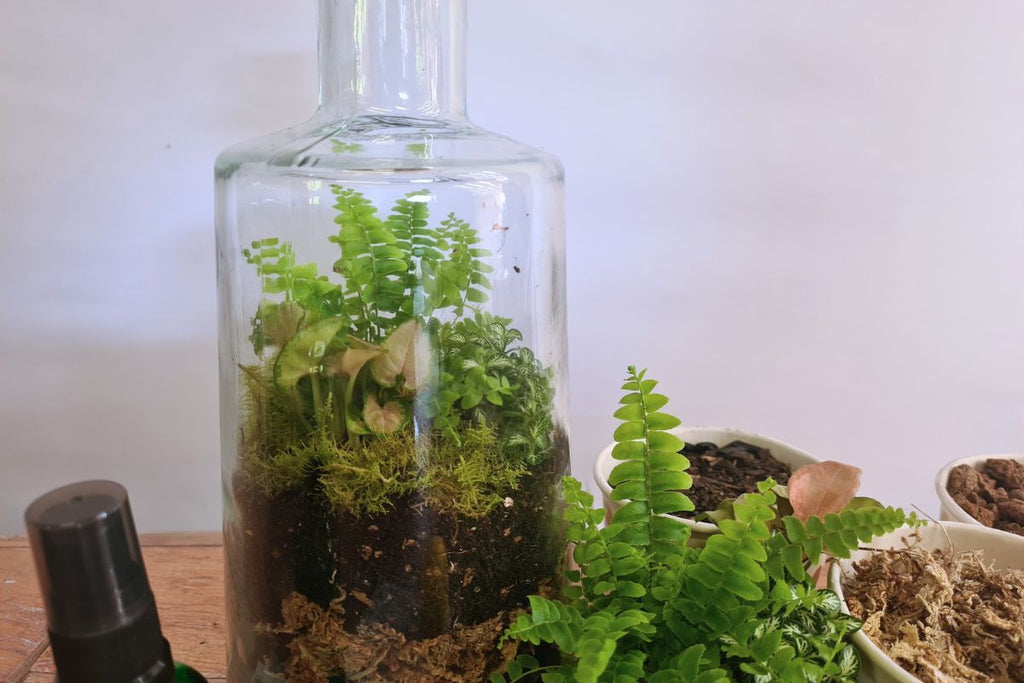 Rainforest Bottle Gift Set – Flower and Twig Nursery