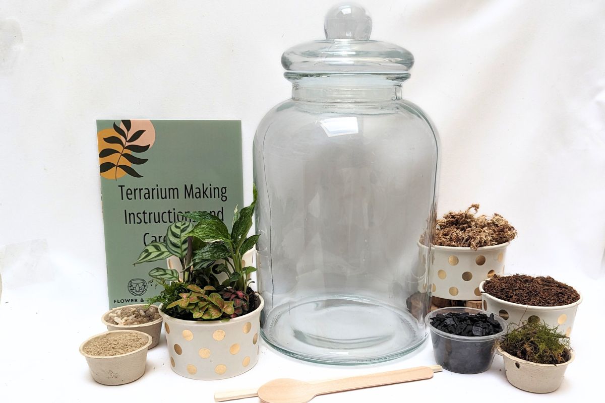 Tropical Jar - XL – Flower and Twig Nursery